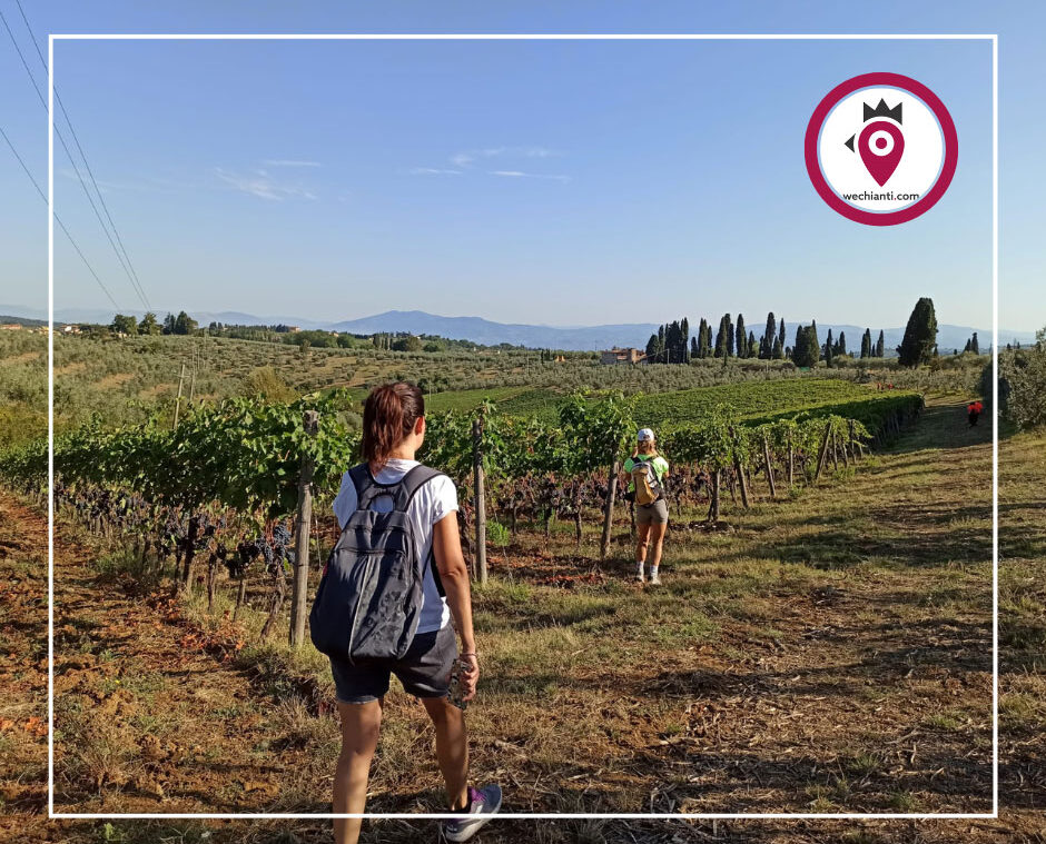 Nuova rete sentieristica a Greve in Chianti: il 10 maggio presentazione ...